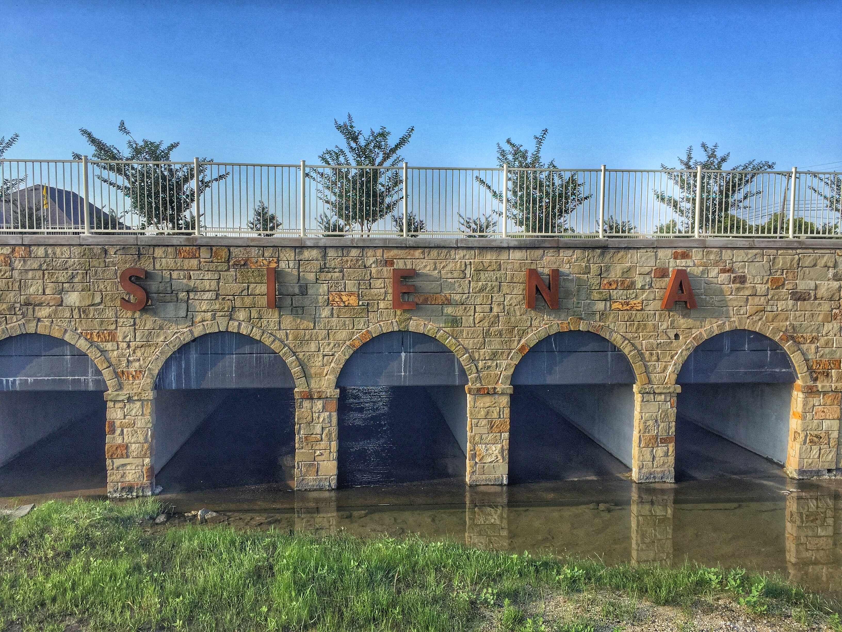 siena-sign | SIENA TODAY